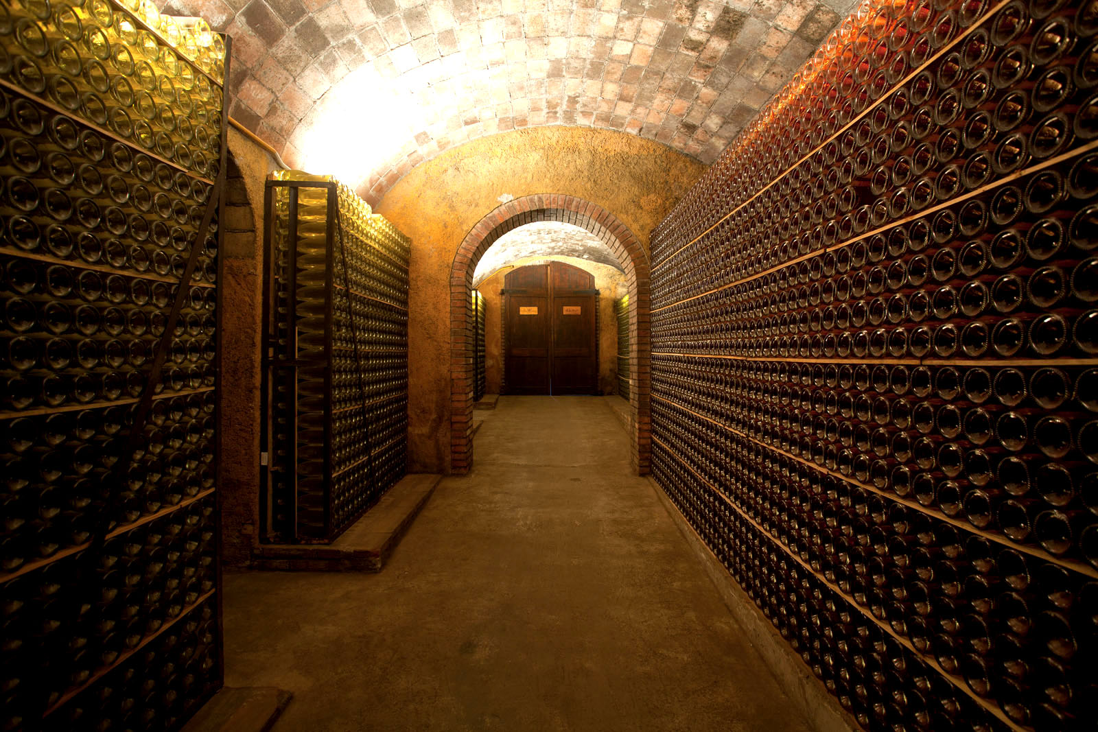Ramon Canals - Celler i Museu del Vi | Ruta del Vi del Penedès